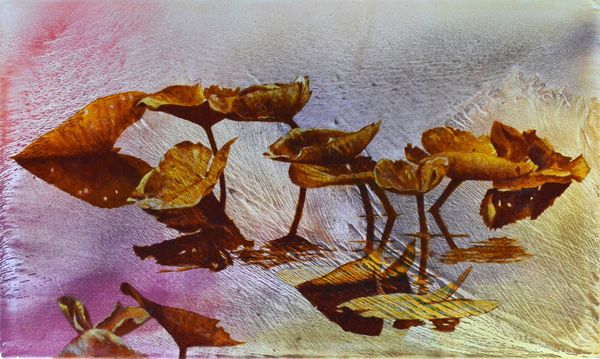 Artrepreneur - Sky Pads 23 (For Sale)