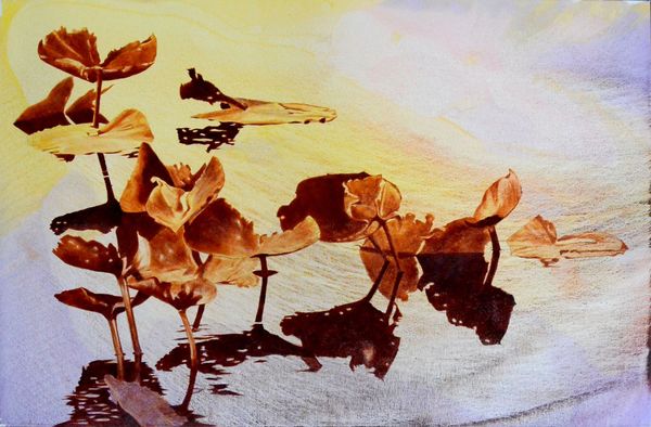 Artrepreneur - Sky Pads 26 (For Sale)